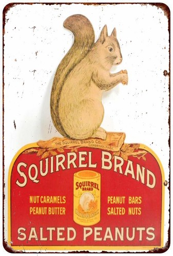 Squirrel Brand salted peanuts Vintage Look Reproduction metal sign | eBay