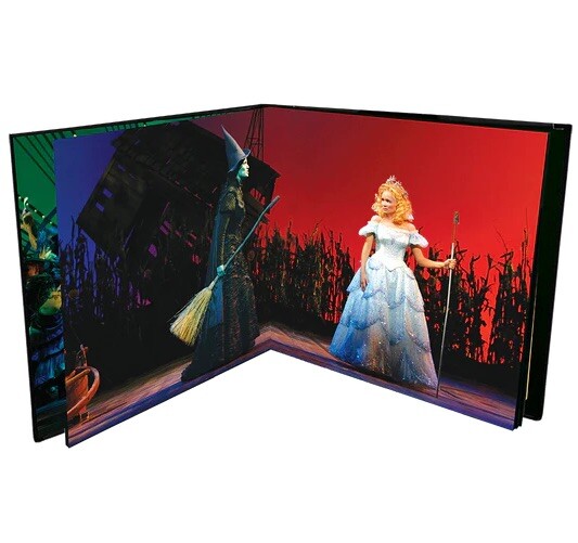 WICKED THE MUSICAL 20TH ANNIVERSARY - LTD. EDITION - 2 LP's -GREEN ...