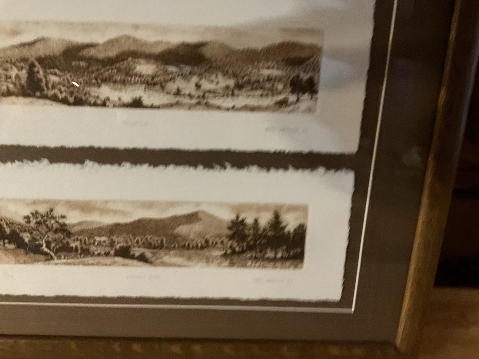 Eric Bealer (1960-2018) RARE, Double Wood Etching, Both edition #22/150 ...