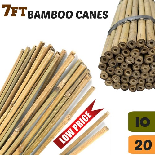 7FT Bamboo Garden Canes Large Heavy Duty Plant Flower Support Wooden ...