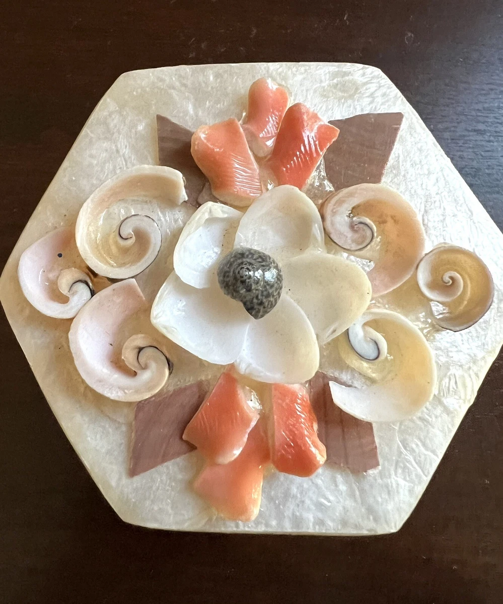 Hexagon Shaped Food