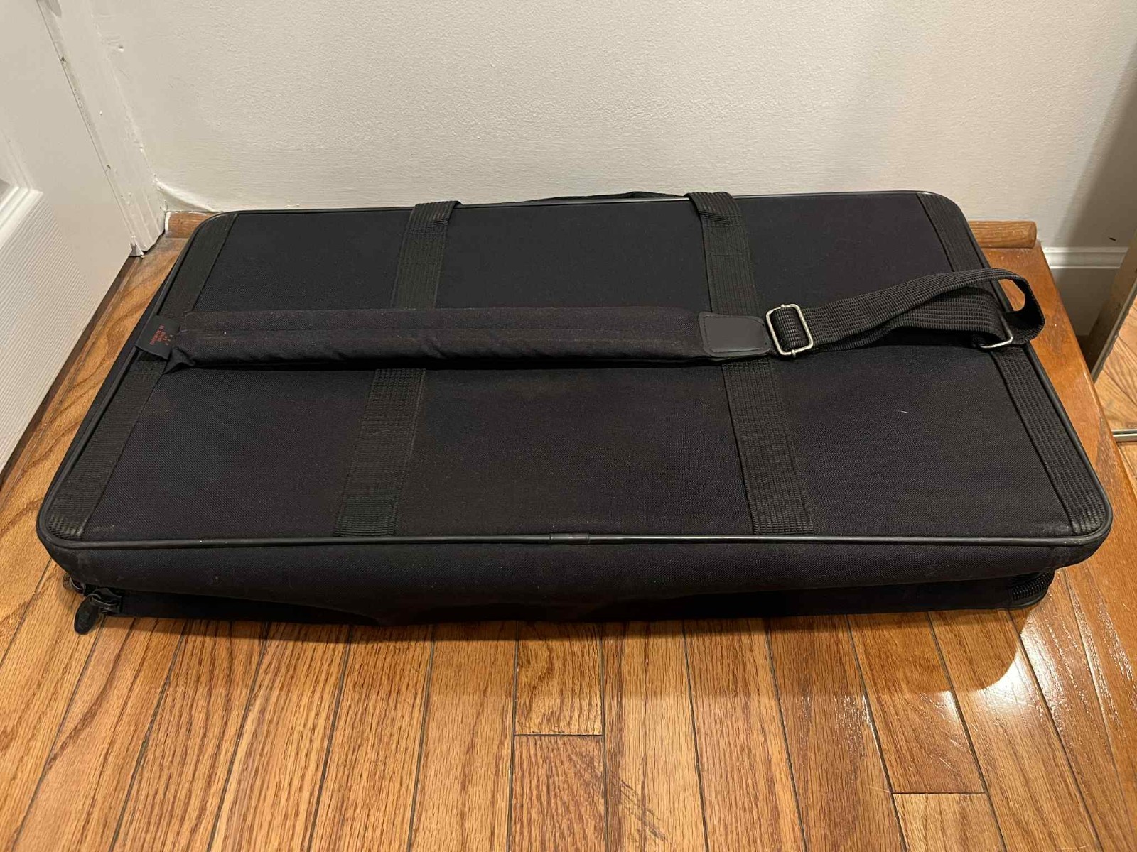 SKB PS-25 Powered Pedalboard w Soft Case Power Supply Effects Loops | eBay