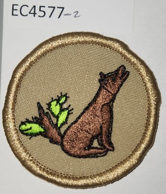Boy Scout Cactus Wolf Custom Patrol Patch | eBay