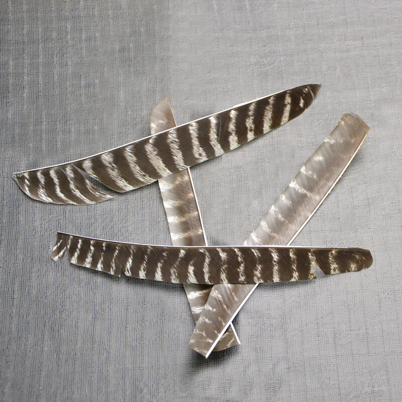 Full Length Archery Natural Turkey Feather Fletching Right Left Wings ...