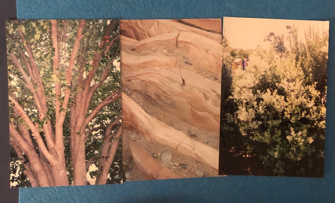 Vintage Photos - The Beauty Of Nature - 3 Photo Lot - Early 2000s | eBay