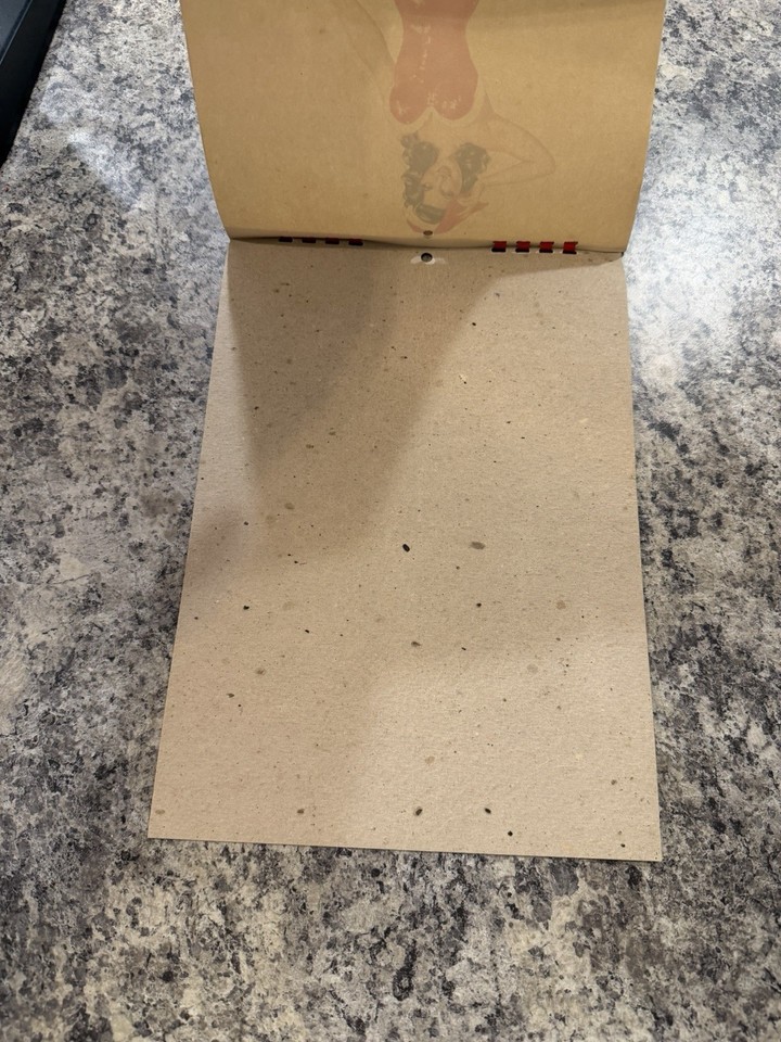 Esquire 1944 Varga Pinup Girls Calendar Complete 12 Months Vintage | eBay