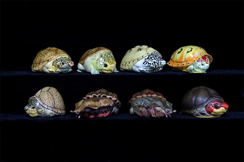 ANIMAL HEAVENLY BODY 08 Blind Box Model Matamata Turtle Stink-pot ...