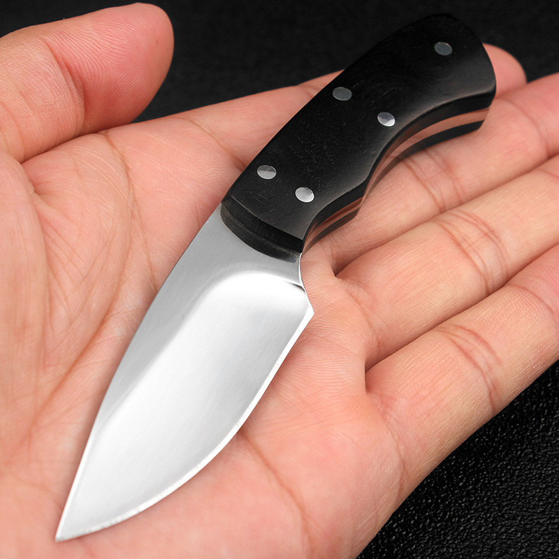 Mini Hunting Survival Tactical Fixed Blade Knife 440C Steel Blade, with ...