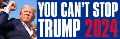 3x9 inch You Can't Stop Trump 2024 Bumper Sticker (Donald Republican ...