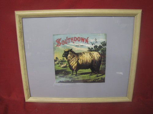 Framed Retro Vintage Southdown Sheep Advertisement | eBay