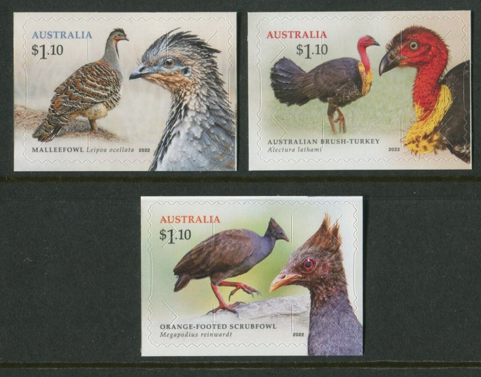 Australia - 2022 Megapodes of Australia - Set of 3 Self Adhesive Ex ...