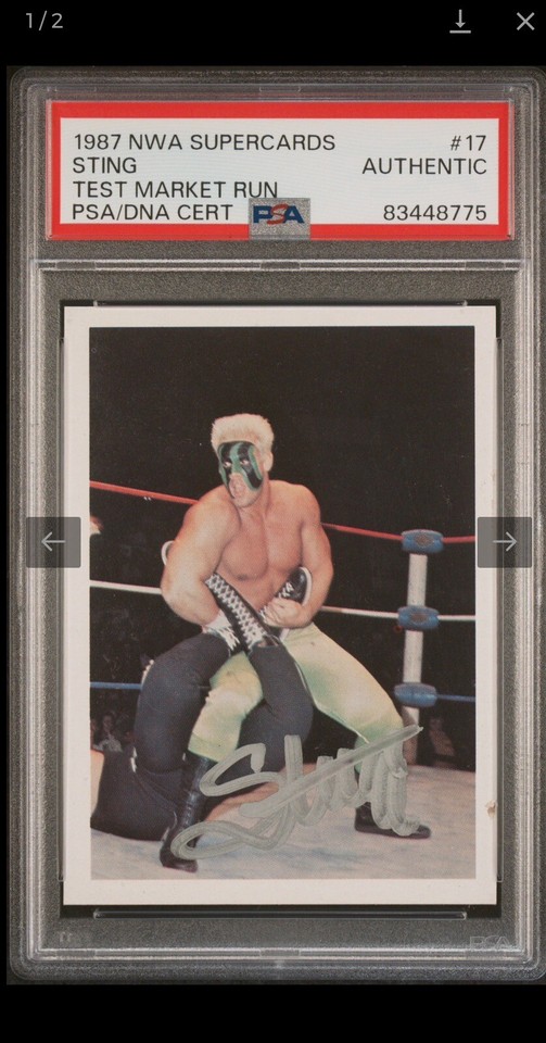 STING 1987 NWA WONDERAMA TEST MARKET BROWN SIGNED ROOKIE CARD - PSA ...