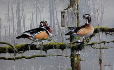 Phillip Crowe - Frankly, My Dear - Wood Ducks - S/N Lithograph - Signed ...