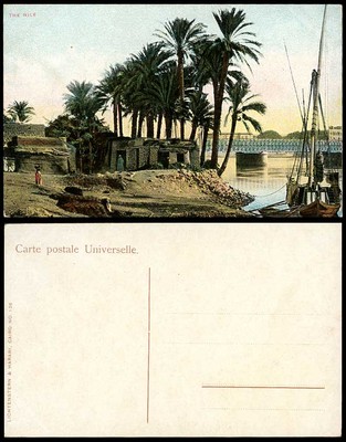 Egypt Old Colour Postcard The Nile River Bank Scene Nil, Bridge, Palm ...