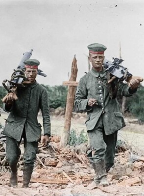 German Front Line Troops WW1 Re- Print 5x7 | eBay