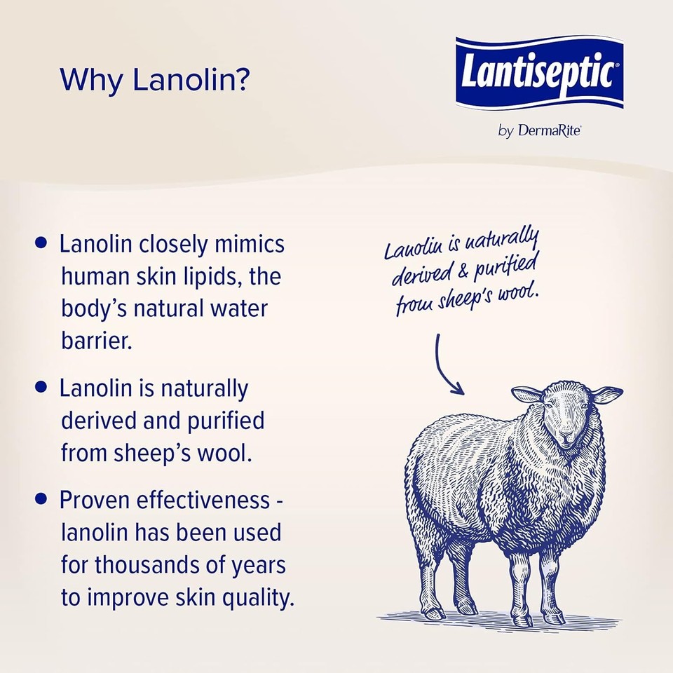 Lantiseptic Original Skin Protectant Ointment 12 Oz (340g) Each Fast ...