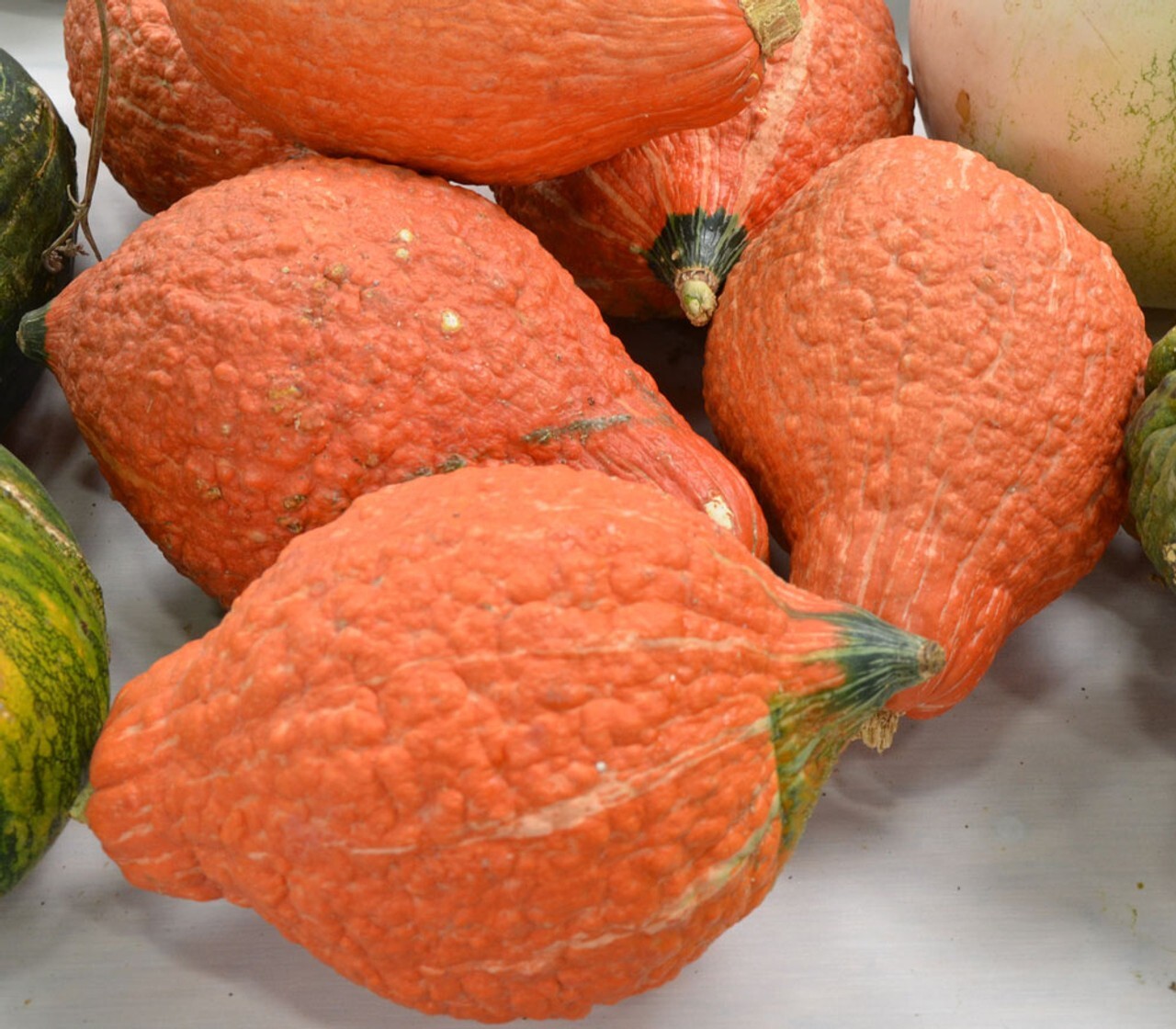 10 Golden Hubbard Squash Seeds - Heirloom | eBay UK