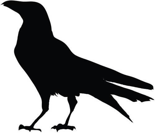 Black Bird silhouette vinyl decal sticker raven crow birds | eBay