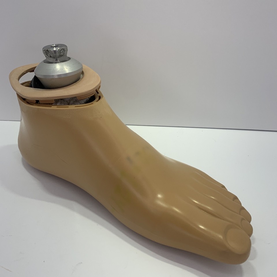 Ottobock Otto Bock Trias Prosthetic Foot. | eBay