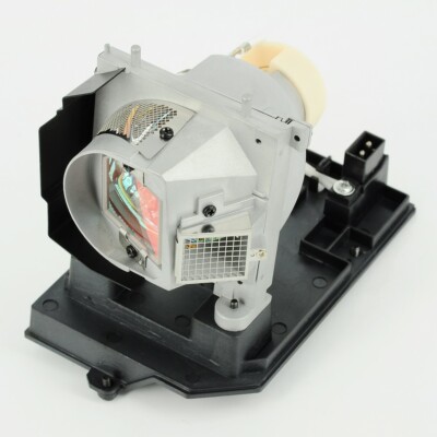 NP20LP / 60003130 Original Bare Lamp Bulb with Housing for NEC U300X ...