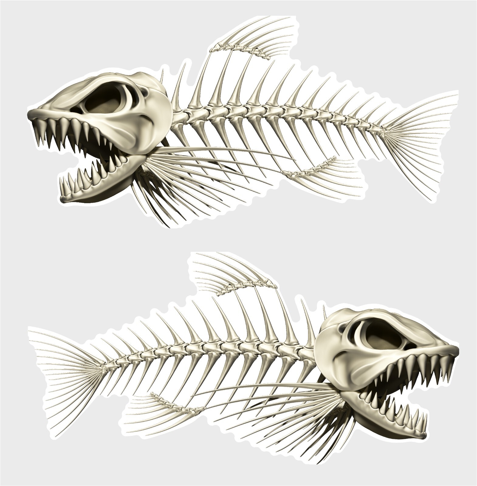 Bone Bonefish Skull skeleton Fish Auto Boat Graphics Decal Sticker 28 ...