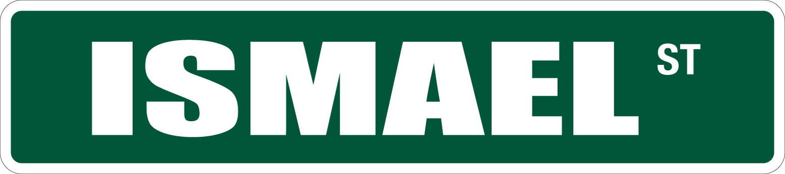 *Aluminum* Ismael 4" x 18" Metal Novelty Street Sign SS 1802 | eBay