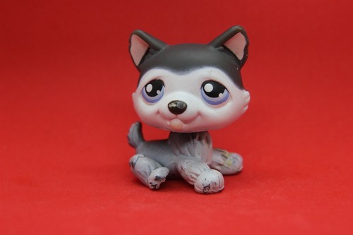 LPS Pet Shop Husky Puppy Dog #210 Dark Gray White Sitting Blue Eyes ...
