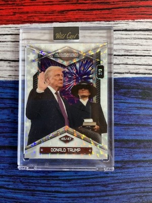 2025 Wild Card Illumination #2/3 | eBay