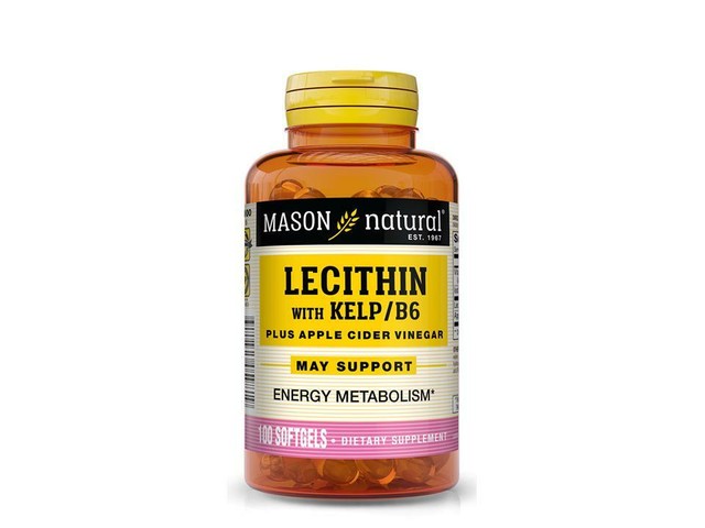 Mason Natural Lecithin With Kelp B6 Plus Cider Vinegar 100 Softgels for ...