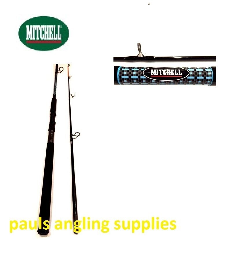 Mitchell 2 piece Sea fishing Boat Rod 9 ft | eBay UK
