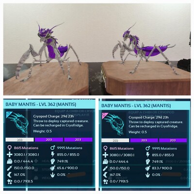 ARK ASCENDED PVE OFFICIAL PAIR BABY MANTIS FREEZA HIGH STATUS PS5/PC ...