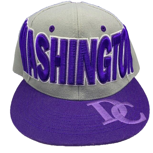 Washington DC hat cap city hunter purple snapback cityhunter gray mens ...