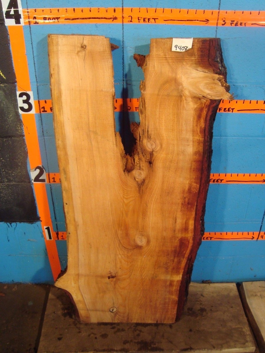 Rustic Wood Slabs