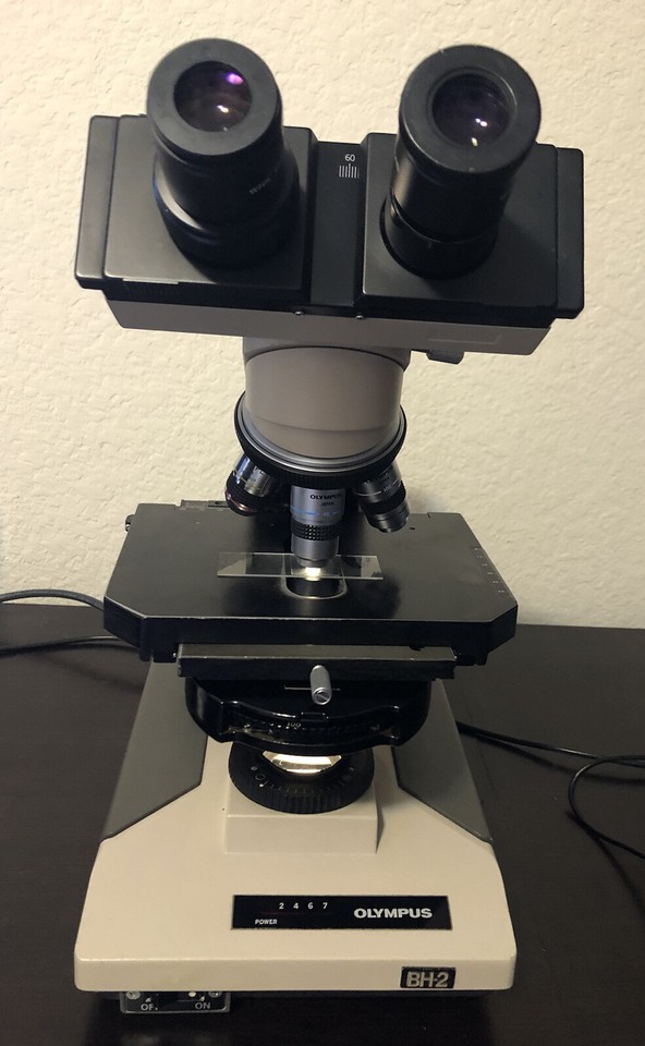 Olympus BH2 Phase Contrast Microscope 4 Obj Trinocular Head 5MP Color ...