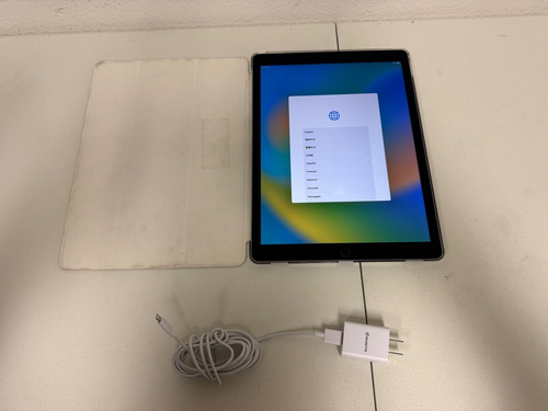 Apple iPad Pro 1st Gen A1652 128GB, Wi-Fi + 4G Cellular 12.9" | eBay