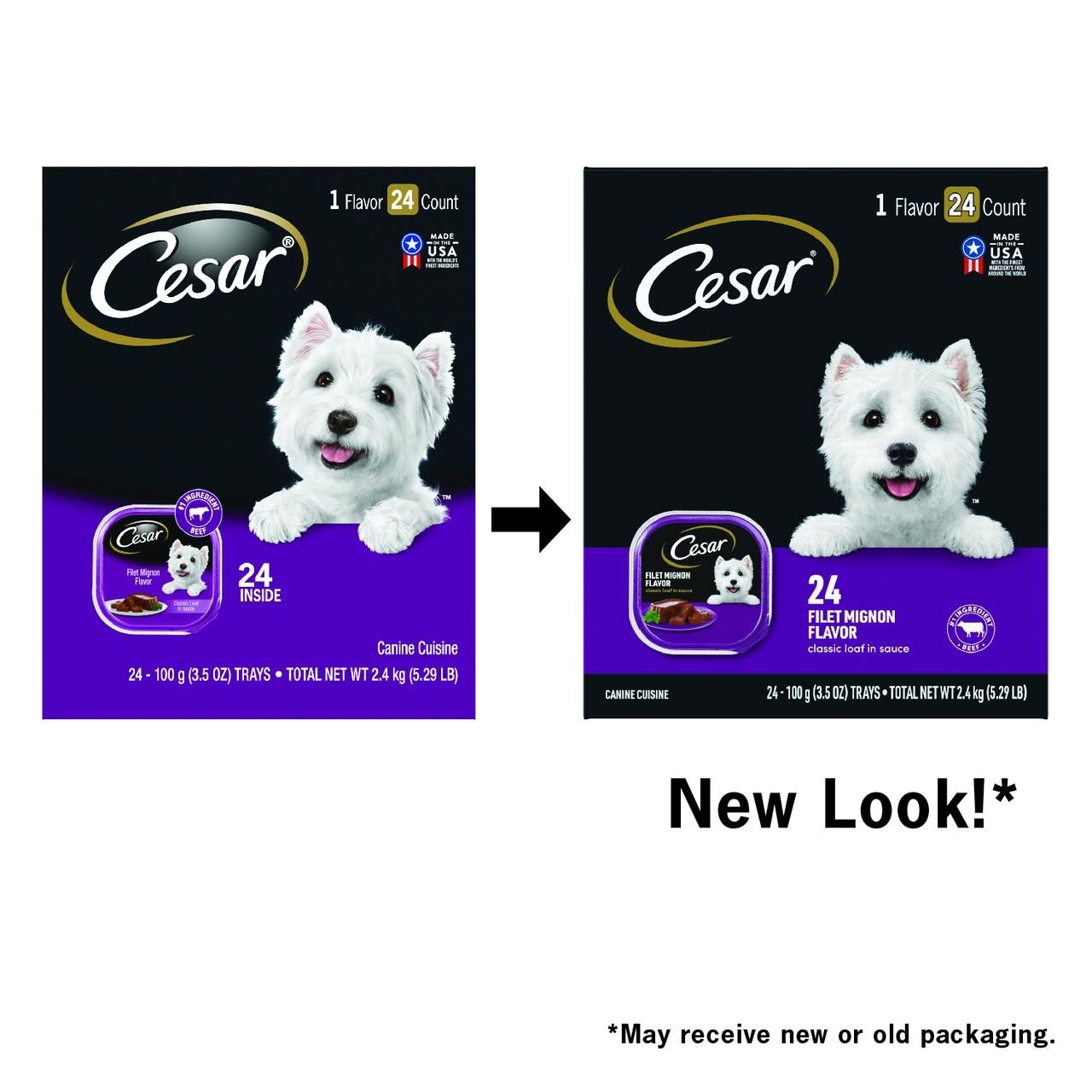 CESAR Filet Mignon Flavor Wet Dog Food Classic Loaf in Sauce Multipack ...