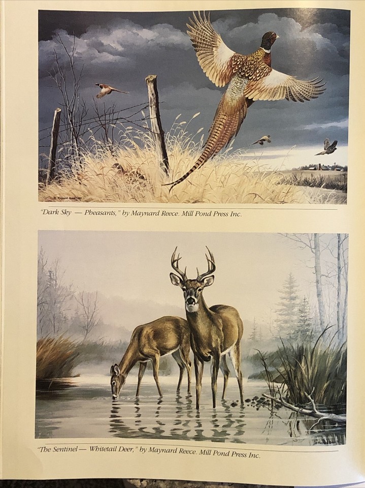 Wildfowl Art Magazine Journal Summer 1994 Ward Museum Salisbury ...