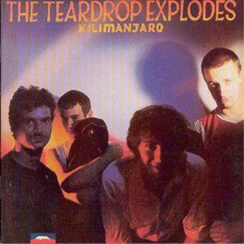 The Teardrop Explodes Kilimanjaro (CD) Album 731454832229 | eBay