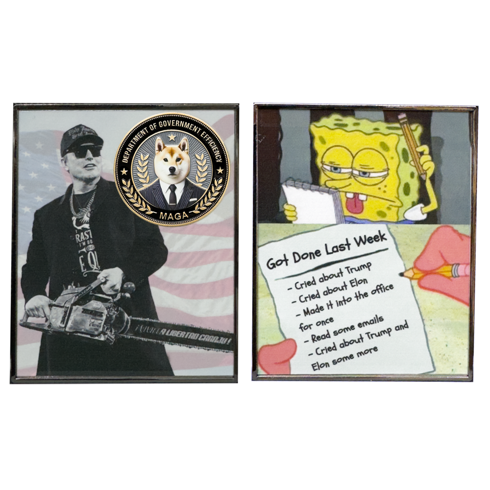 EL17-8 MAGA Elon Musk Challenge Coin for DOGE Department of Government ...