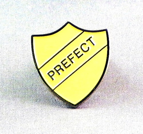 Prefect metal lapel Pin Badge School Student Education | eBay