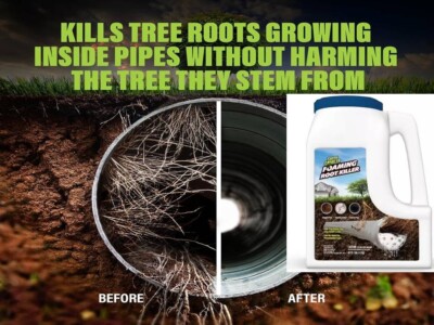 Root Killer 10Lb Foaming Drain Cleaner Removes Tree Roots Pipes Sewer ...