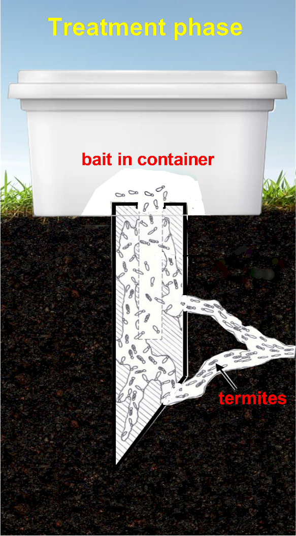 12 X Termite Baits with HDTI. Attracts termites as well as ANY other ...