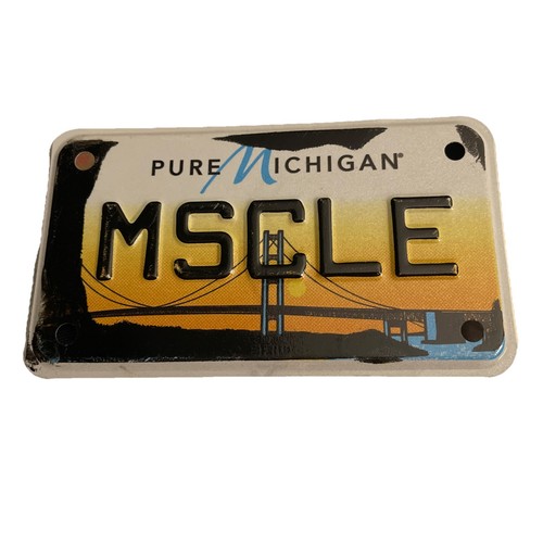 Michigan Vanity Motorcycle License Plate MSCLE MUSCLE! 💪 | eBay