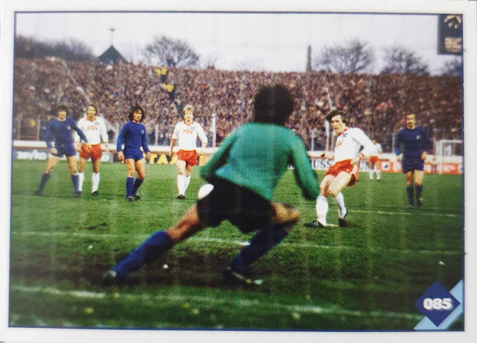 REWE NUR DER HSV Offizielle Sticker Kollektion 2024 Einzelsticker zum ...