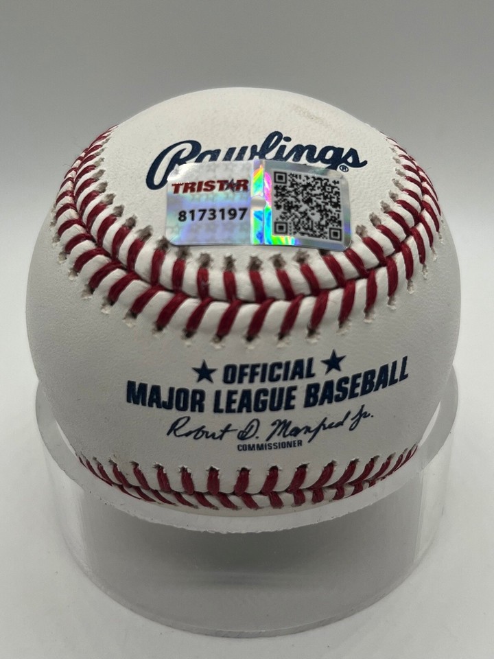 Chuck Knoblauch 91 AL ROY Minnesota Twins Signed Autograph OMLB ...