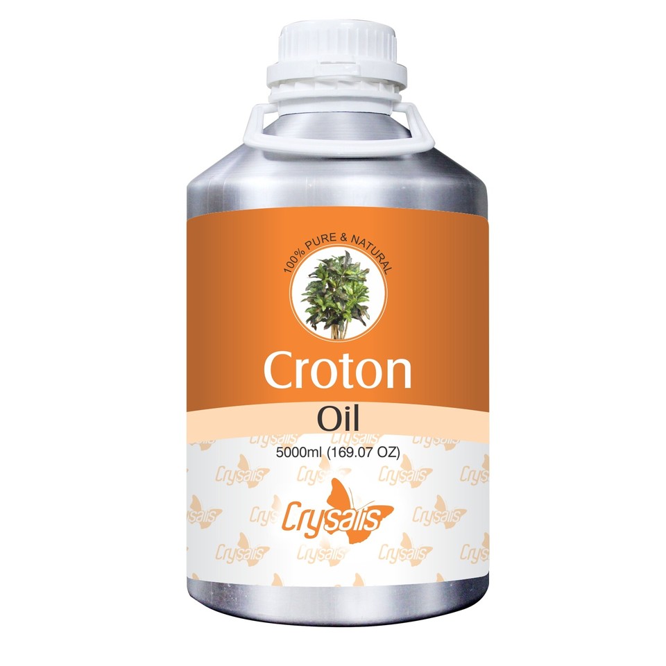 Croton {Croton Tiglium} | 100% Pure & Natural Essential Oil | 15ml ...