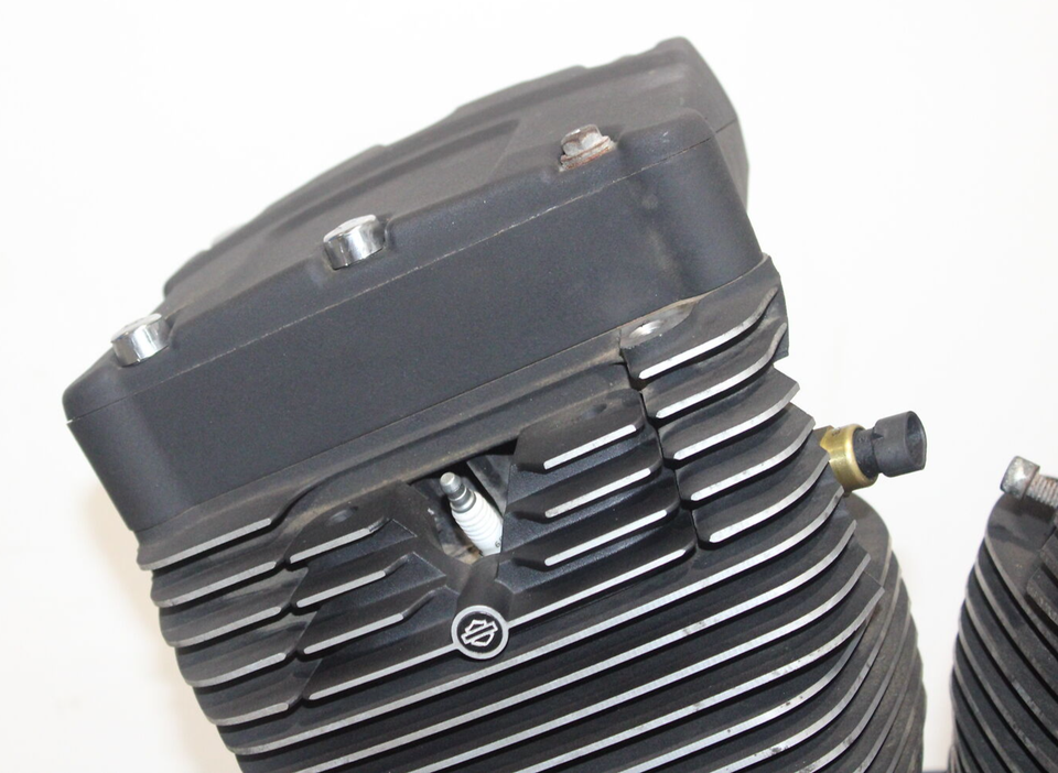 08-15 Harley Davidson Softail Heritage Fat Boy NT Twin Cam 96 Engine ...