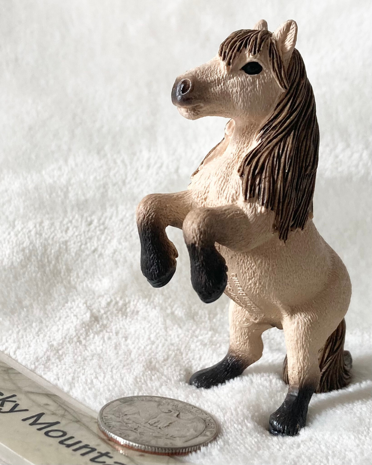 Buy NEW Schleich Miniature SHETLAND PONY REARING/ Dancing Buckskin ...