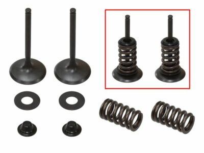 Intake Valve and Spring kit Fits:2014-2018 Yamaha YZ250F | eBay