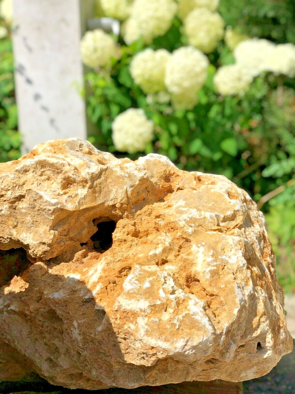 Felsen Kalkstein Naturstein Findling Garten Deko Aquariumstein Teich ...